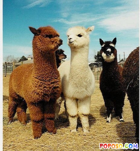 censorship | Jonathan Stray